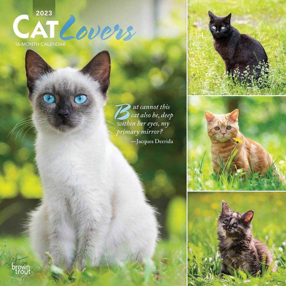 Cat Products, Jewelry & Gifts – Animal Den