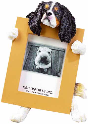 Browse Cavalier King Charles Picture Frames For King Charles Lovers