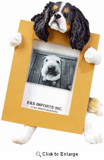 Cavalier King Charles Spaniel Picture Frame