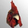 Chicken Magnet, Magnets, Chicken Gifts | Animalden.com