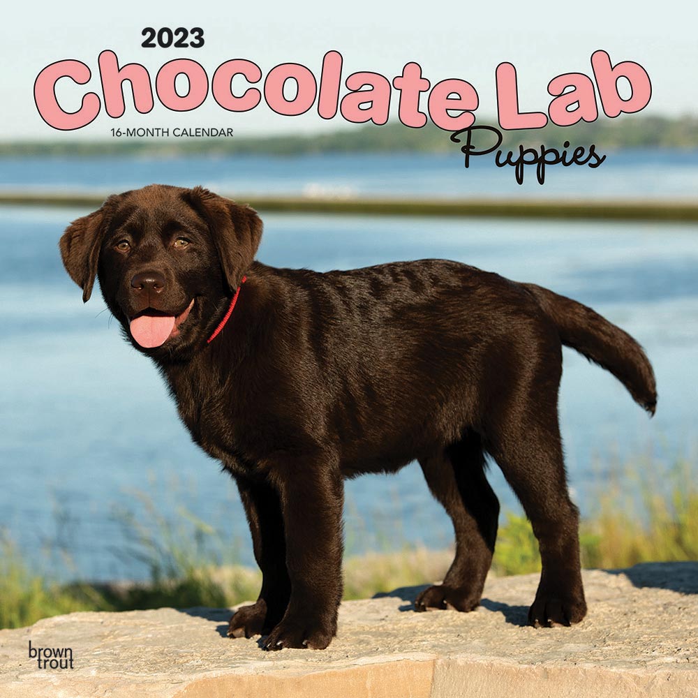 Chocolate Lab Theme Gifts Keepsakes - AnimalDen.com