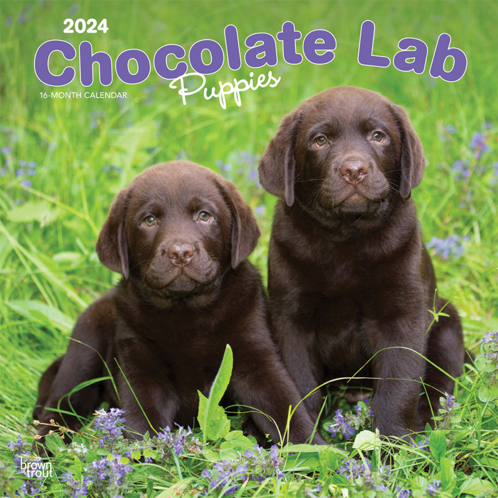 Chocolate Lab Theme Gifts Keepsakes - AnimalDen.com