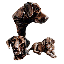Chocolate Lab Theme Gifts Keepsakes - AnimalDen.com
