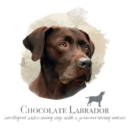 Chocolate Lab Theme Gifts Keepsakes - AnimalDen.com
