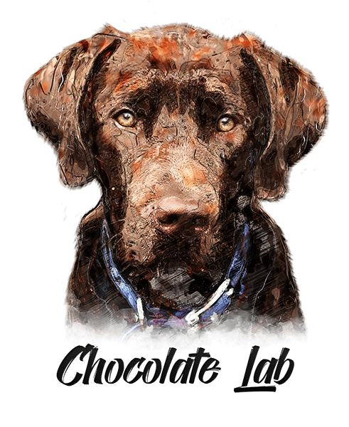 Chocolate Lab T-Shirt - Vivid Colors - Animal Den