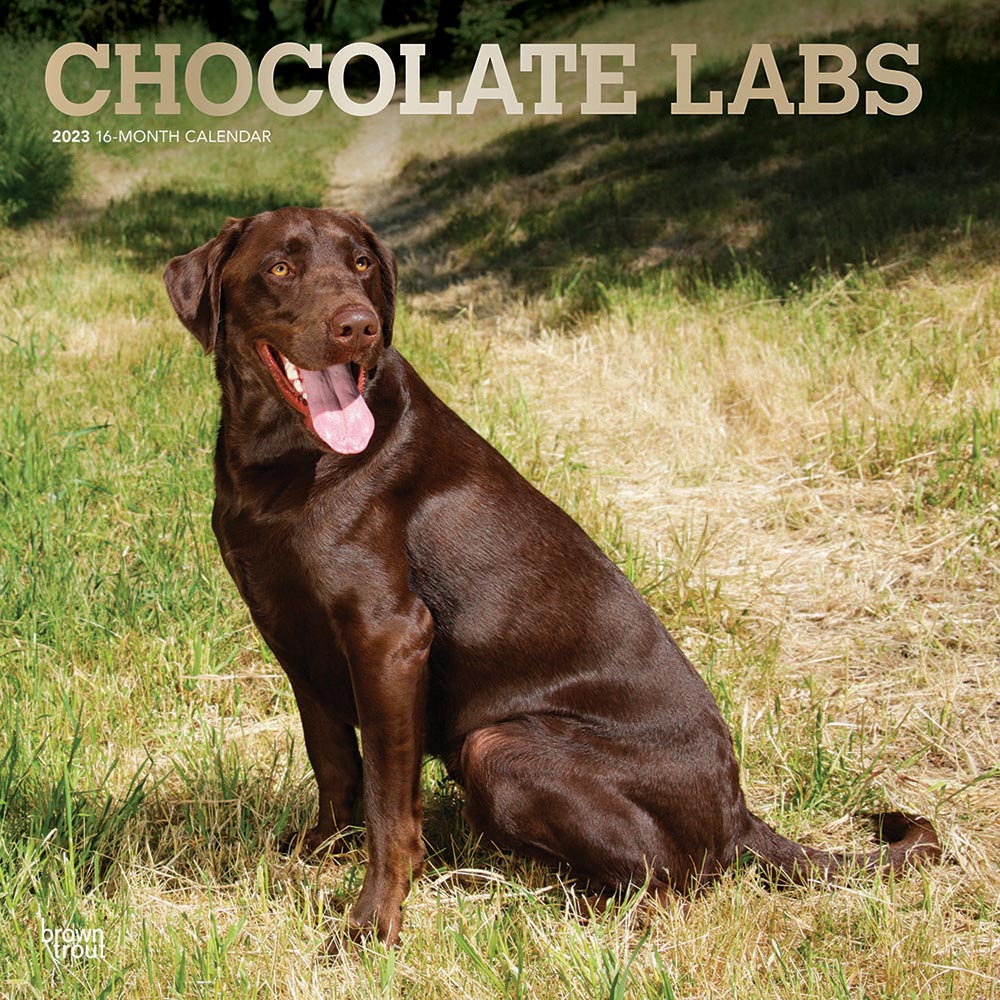 Chocolate Lab Theme Gifts Keepsakes - AnimalDen.com