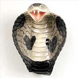 Snake Magnet, Magnets, Snake Gifts | Animalden.com