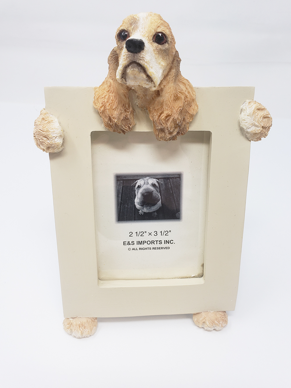 Cocker Spaniel Picture Frame, Picture Frames, Cocker Spaniel Gifts ...