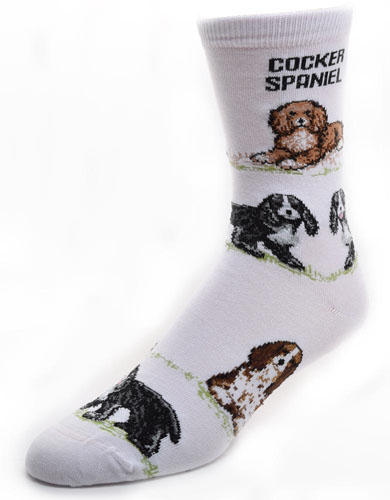 Cocker Spaniel Socks | Poses 2, Sock | Animalden.com
