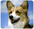 Corgi Mousepad, Mousepads, Corgi Gifts | Animalden.com
