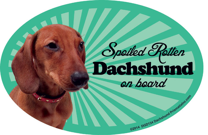 Dachshund Car Magnet - Spoiled Rotten - Animal Den