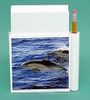 Dolphin Hold-a-Note, Note Holder, Dolphin Gifts | Animalden.com