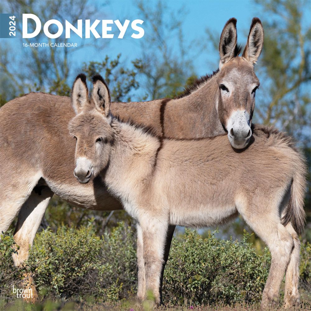 Donkey Gifts