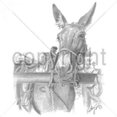 Donkey Golf Headcover | Animalden.com