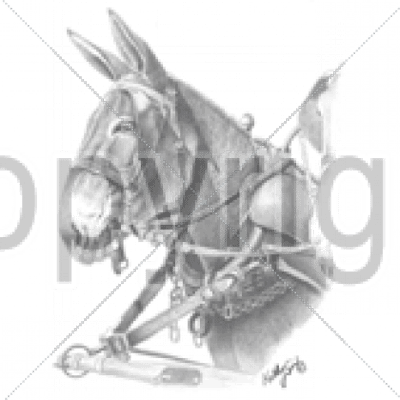 Donkey Golf Headcover | Animalden.com