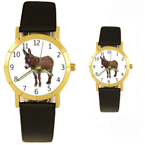 Donkey Watchs at Animalden