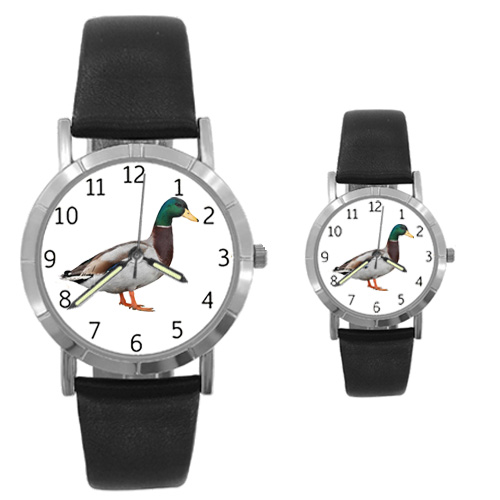 Duck Watchs at Animalden