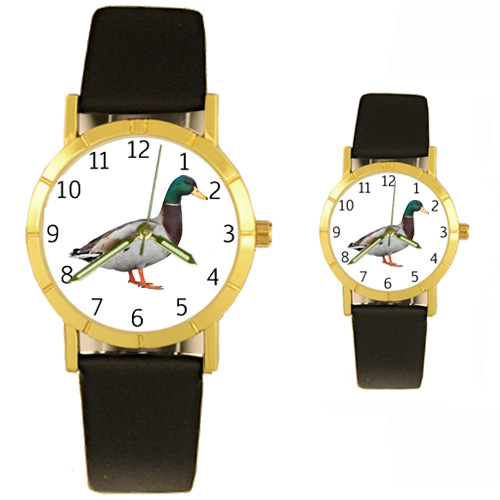 Duck Watchs at Animalden