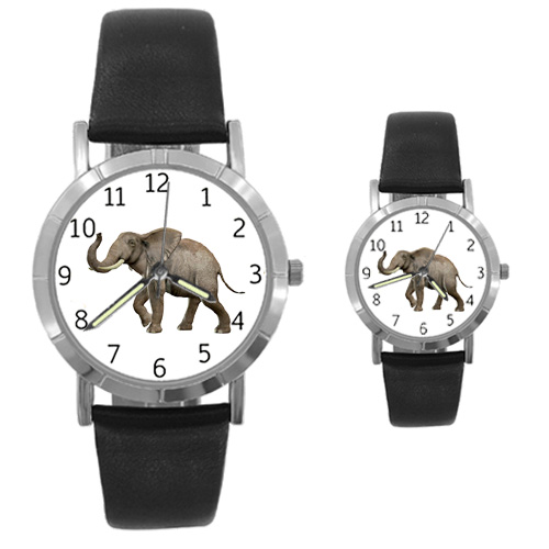 Elephant Watchs at Animalden