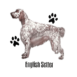English Setter T-Shirt - Profiles & Gifts | Animal Den