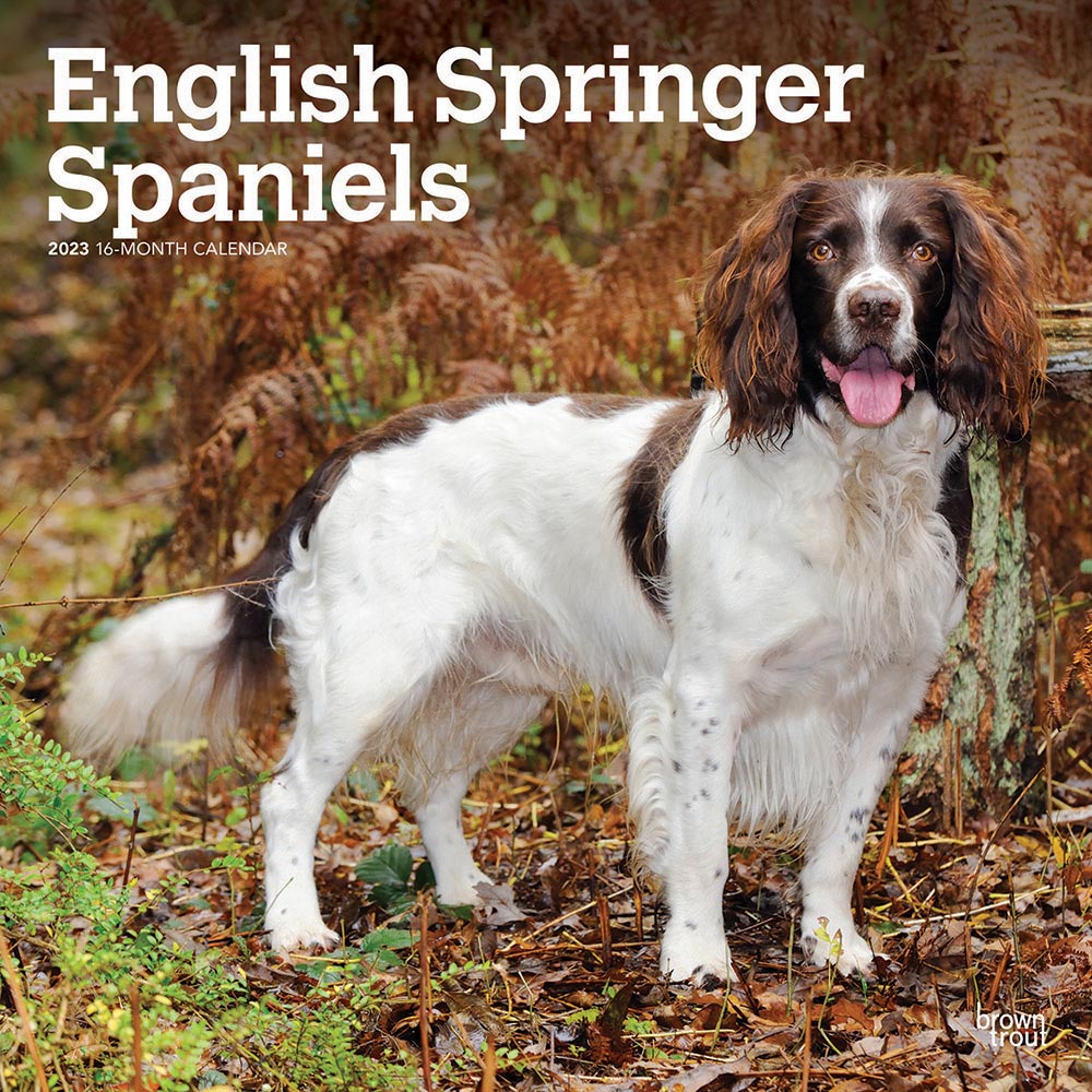 Springer Spaniel Gifts for Dog Lovers - AnimalDen.com
