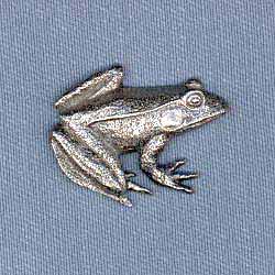 Frog Pin & Frog Gifts | Animalden.com