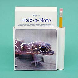 Gecko Hold-a-Note, Note Holder, Gecko Gifts | Animalden.com