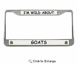Goat License Plate Frame, License Plate Frames, Goat Gifts | Animalden.com