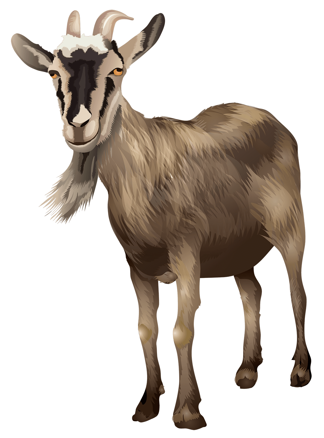 Goat Gifts, Jewelry & Goat Collectables – Animal Den