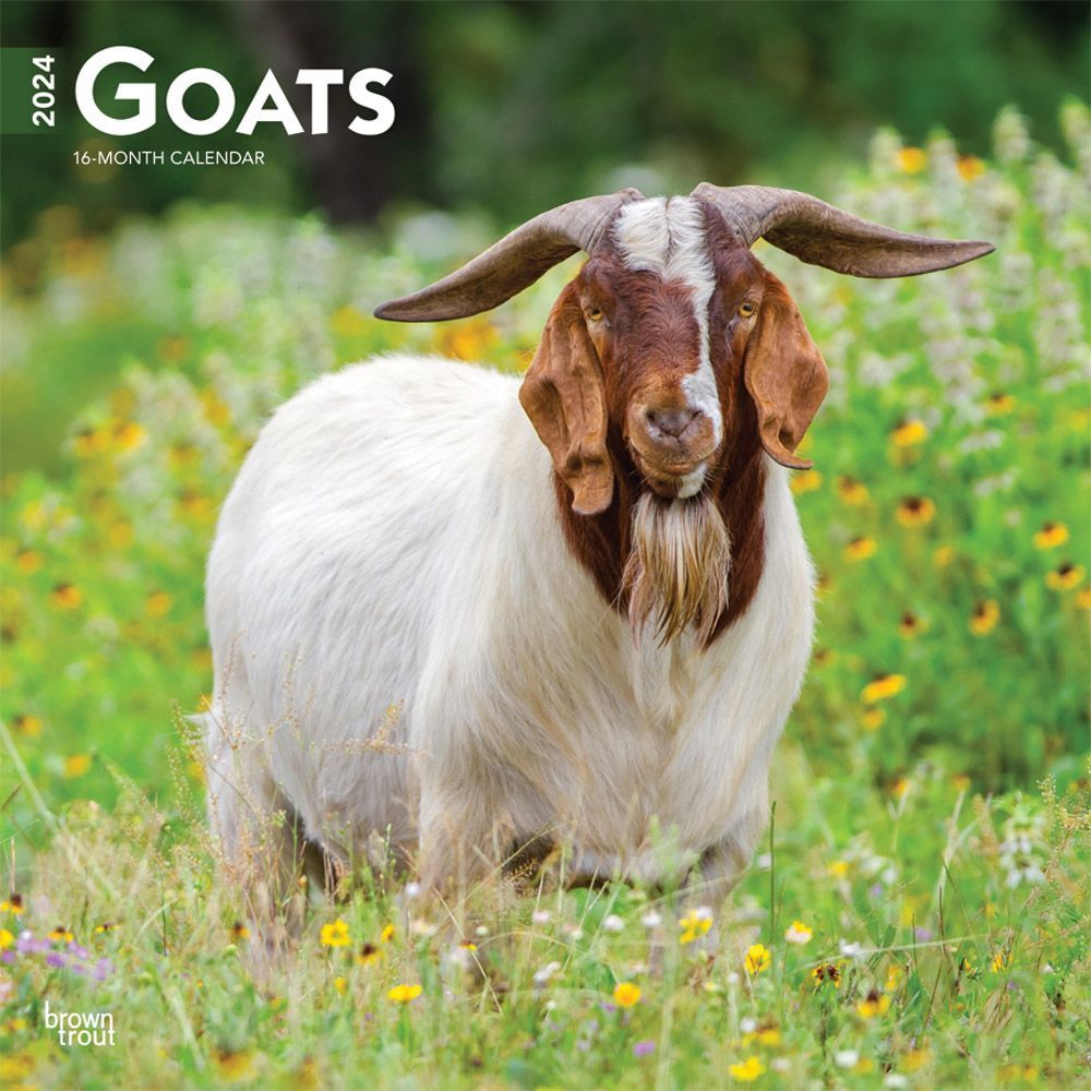 Goat Gifts, Jewelry & Goat Collectables – Animal Den