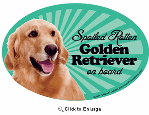 Golden Retriever Car Magnet - Spoiled Rotten - Animal Den