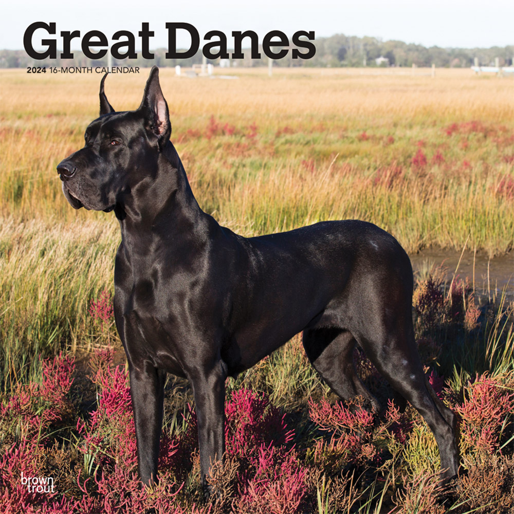 Great Dane Merchandise & Gifts - AnimalDen.com