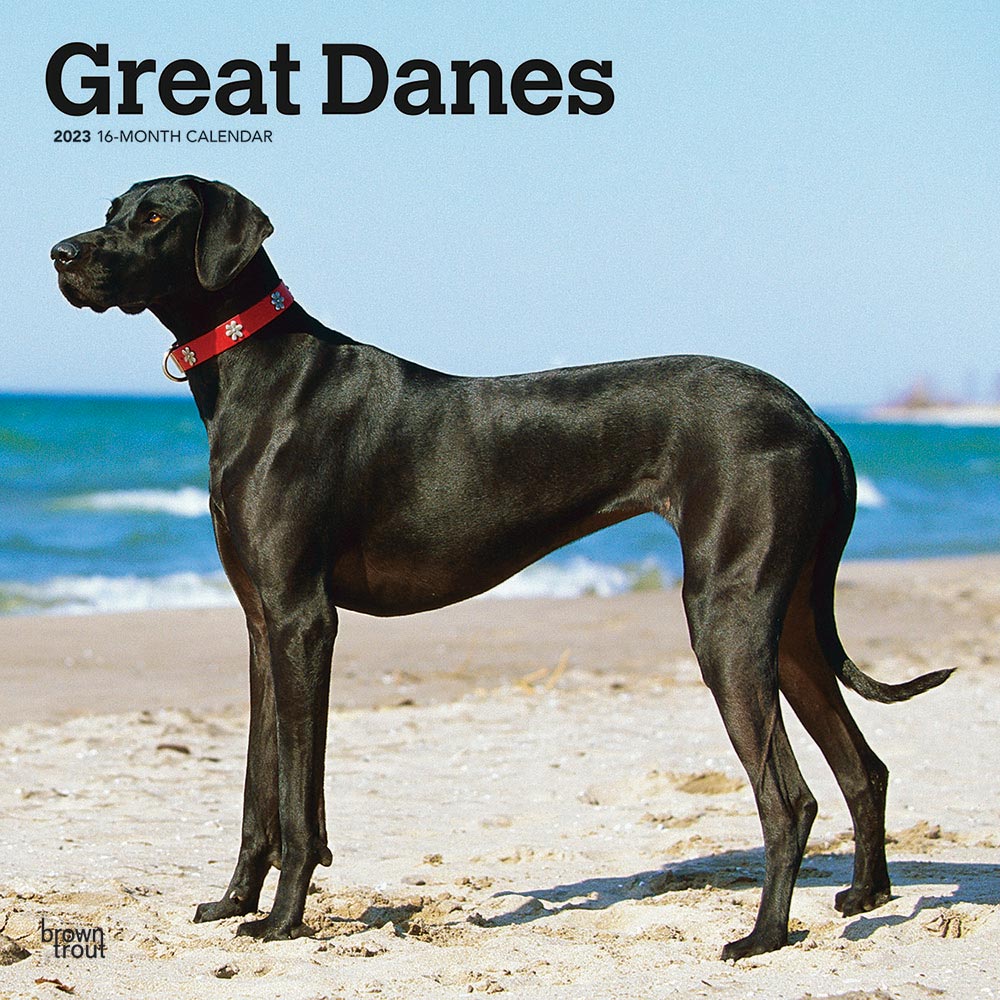 Great Dane Merchandise & Gifts - AnimalDen.com