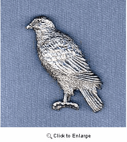 Hawk Pin & Hawk Gifts | Animalden.com