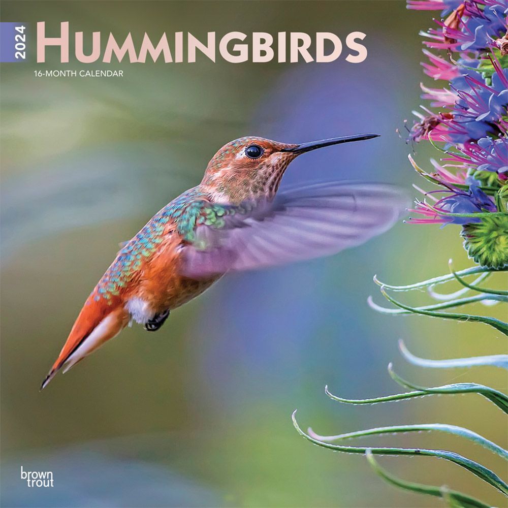 Hummingbird Gifts