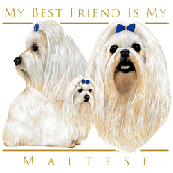 Maltese Breed Dog Lover Merchandise - AnimalDen.com