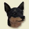 Miniature Pinscher Magnet, Magnets, Miniature Pinscher Gifts ...