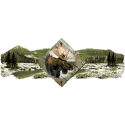 Moose License Plate Frame, License Plate Frames, Moose Gifts ...