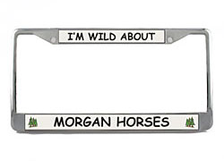 Morgan Horse License Plate Frame, License Plate Frames, Morgan Horse ...