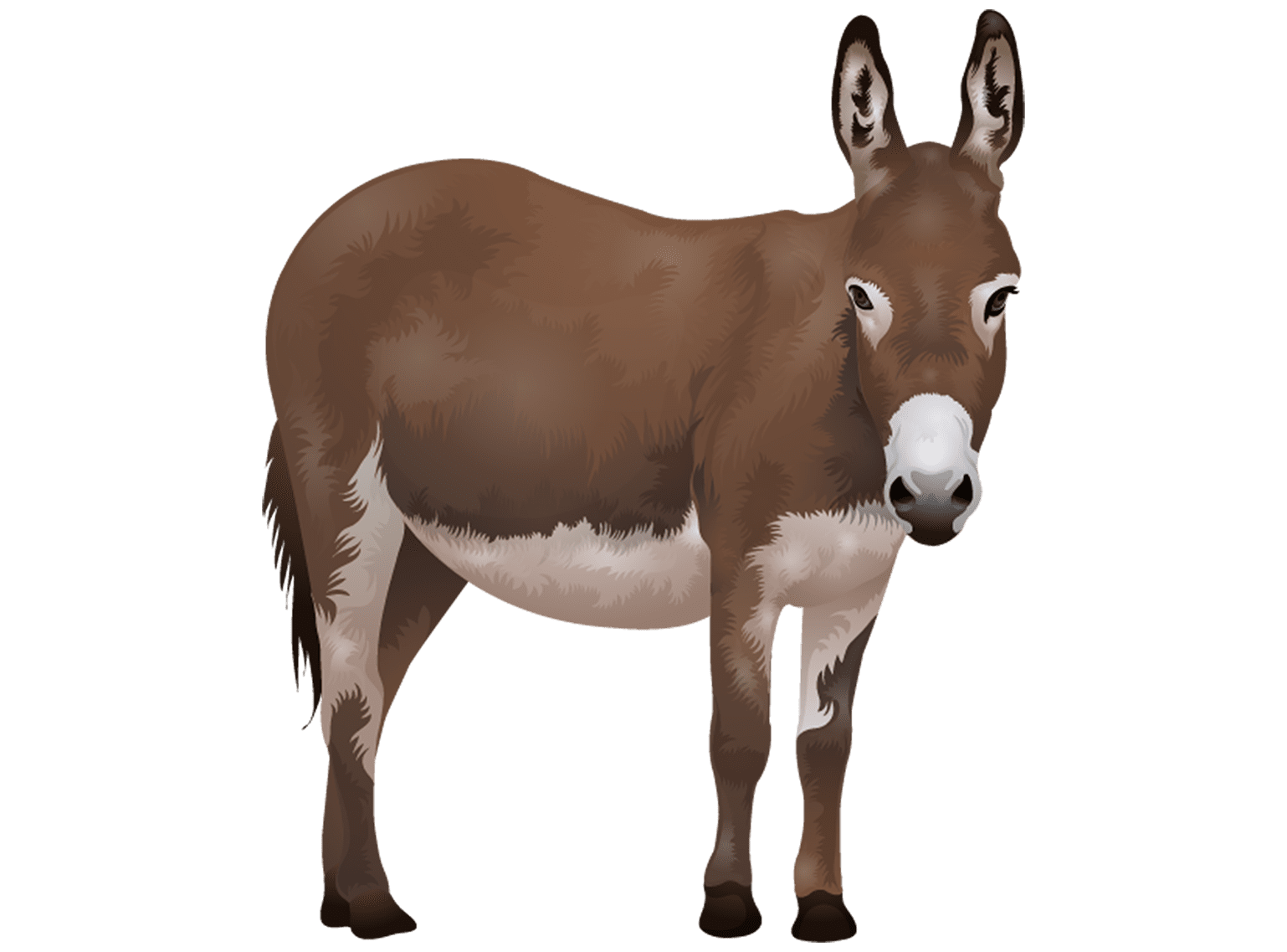 Mule Gifts