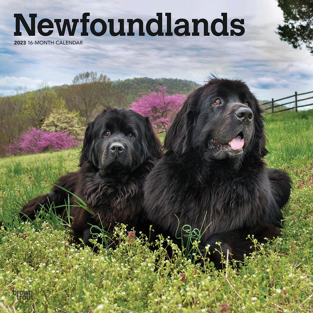 Newfoundland Gifts