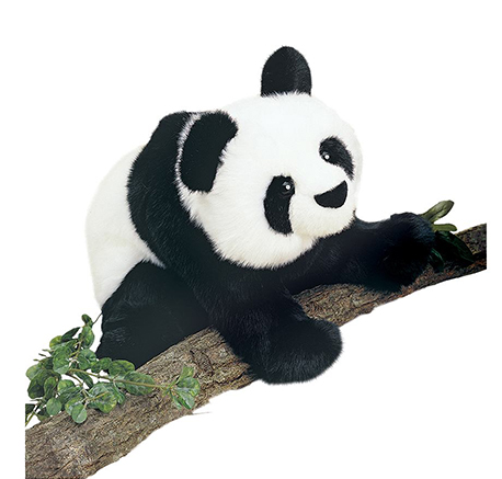 Panda Bear Gifts