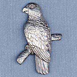 Parrot Pin & Parrot Gifts | Animalden.com