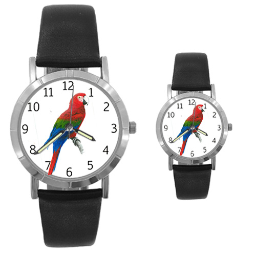 Parrot Watchs at Animalden