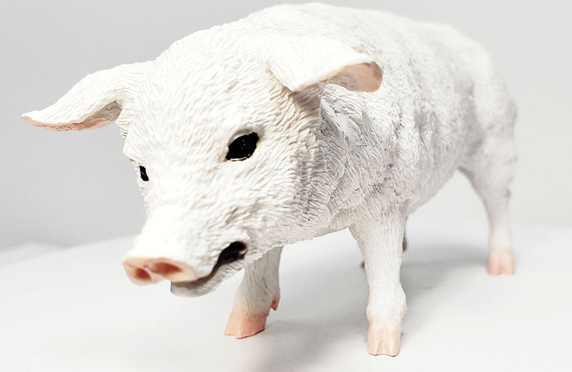 Pig Gifts & Products – Animal Den