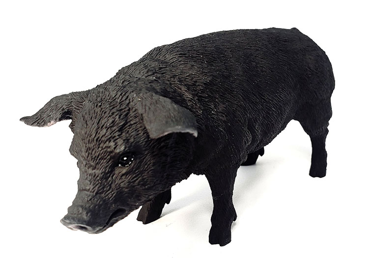 Pig Gifts & Products – Animal Den