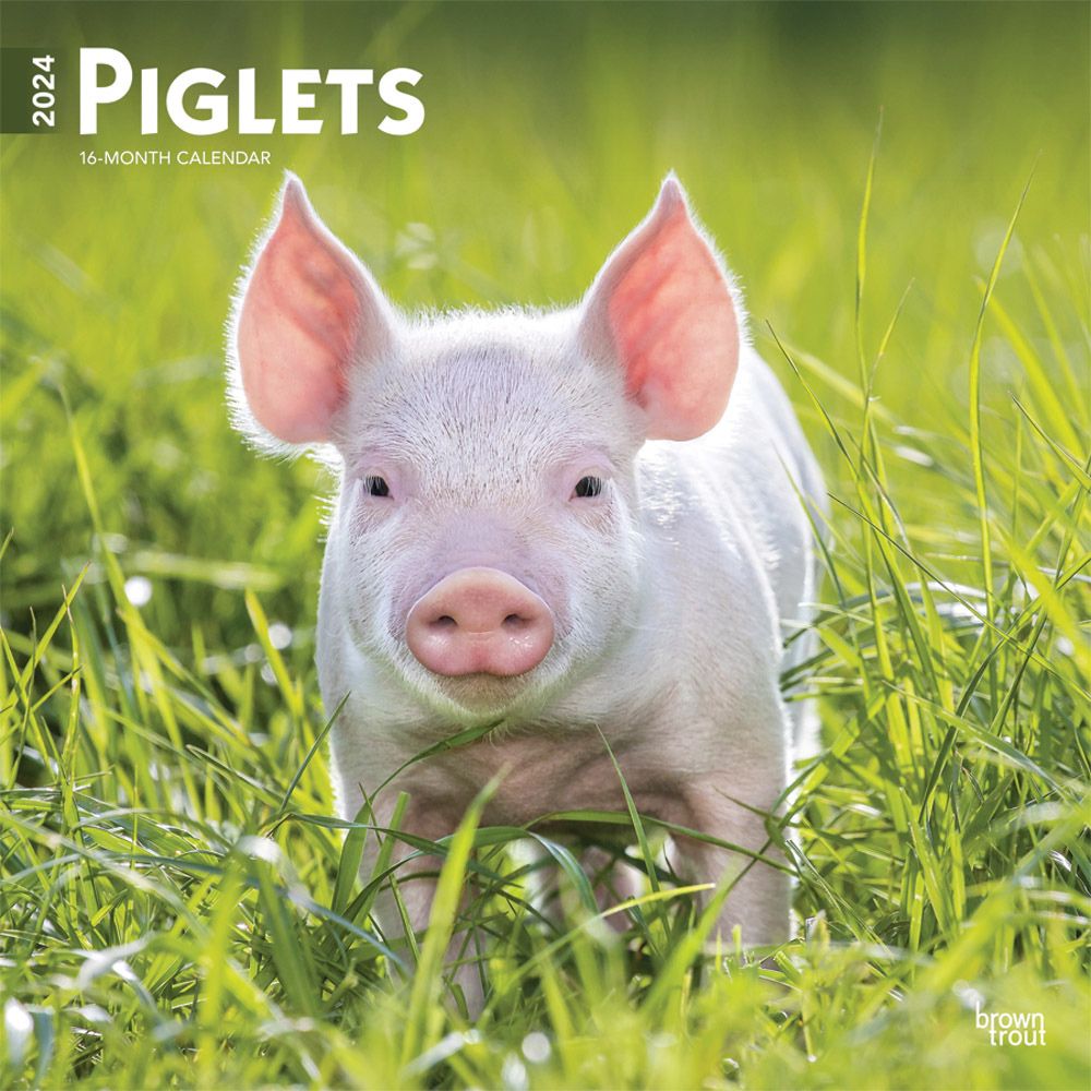 Pig Gifts & Products – Animal Den