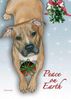 Pit Bull Terrier Christmas Cards & Christmas Gifts