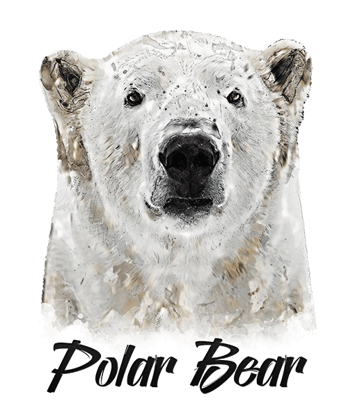 Polar Bear Gifts