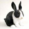 Rabbit Figurine, Figurines, Rabbit Gifts | Animalden.com